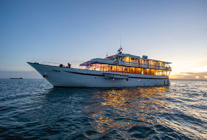 MV Ambai Liveaboard | Caradonna Adventures