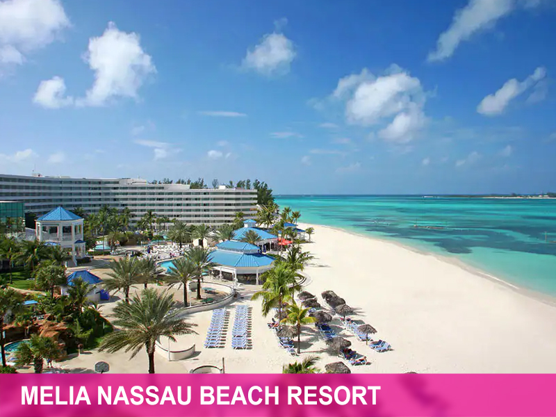 Stuart Cove's Bahamas Dive Resort Offers | Caradonna Adventures